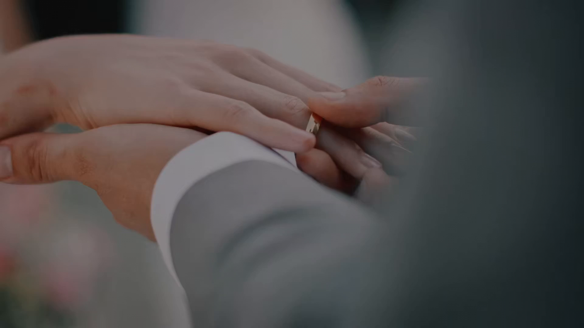 Follow Jesus | Diocese of Green Bay